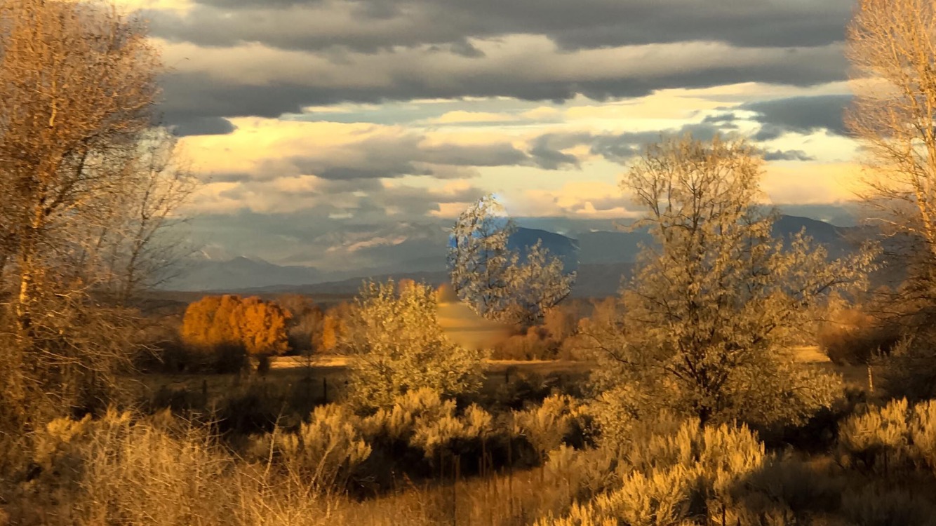 Hunting, Camping, and Outdoor Equipment - J Robinson Outdoors
